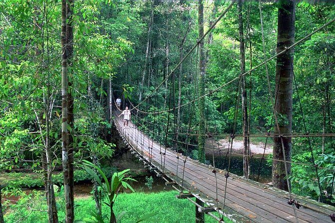 Half-Day Lambir Hills National Park Tour from Miri - An In-Depth Look at the Tour Experience