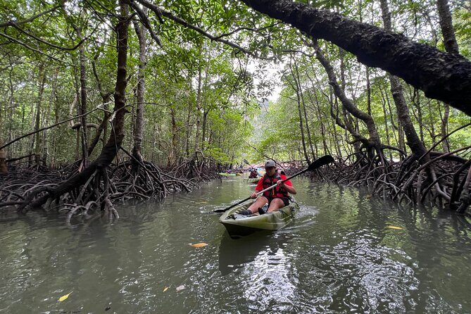Half-Day Mangrove Kayaking in Langkawi - Final Thoughts