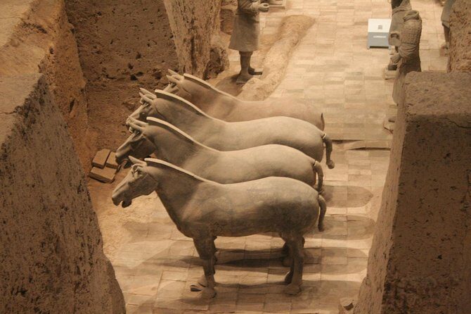 Half-Day Mini Group Xian Tour to Terracotta Warriors Museum - Who Should Consider This Tour?