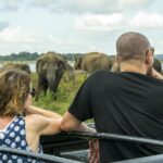 Half Day Minneriya National Park Safari from Habarana - A Deep Dive into the Safari Experience