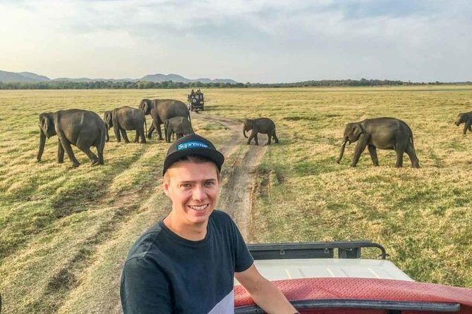 Half Day Minneriya National Park Safari from Sigiriya - Who Should Consider This Tour?