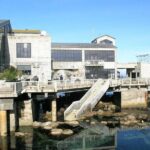 Half Day Monterey Peninsula Sightseeing Tour - What to Expect from the Tour