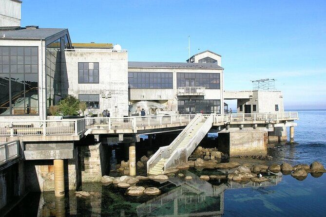 Half Day Monterey Peninsula Sightseeing Tour - What to Expect from the Tour