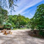 Half-Day Morning Bamboo Island Tour from Phi Phi by Longtail Boat - Pricing and Value