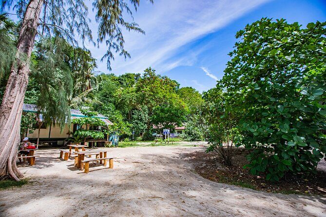 Half-Day Morning Bamboo Island Tour from Phi Phi by Longtail Boat - Pricing and Value