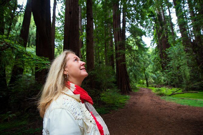 Half-Day Muir Woods & Sausalito Tour with Entry Ticket Included - Who Should Consider This Tour?