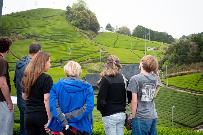 Half Day Nara and Matcha Farm Private Van Tour - Final Thoughts: Who Will Love This Tour?