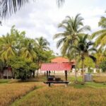 Half Day Nature Cycling Trip - Key Points