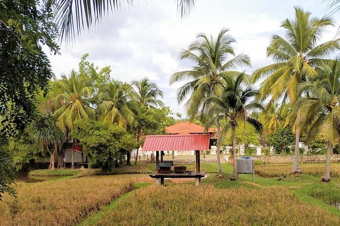 Half Day Nature Cycling Trip - Key Points