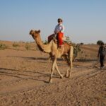 Half day, non touristic sand dune ,camel safari with dinner - Why This Tour Stands Out