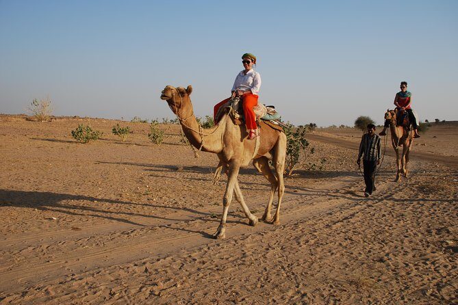 Half day, non touristic sand dune ,camel safari with dinner - Why This Tour Stands Out