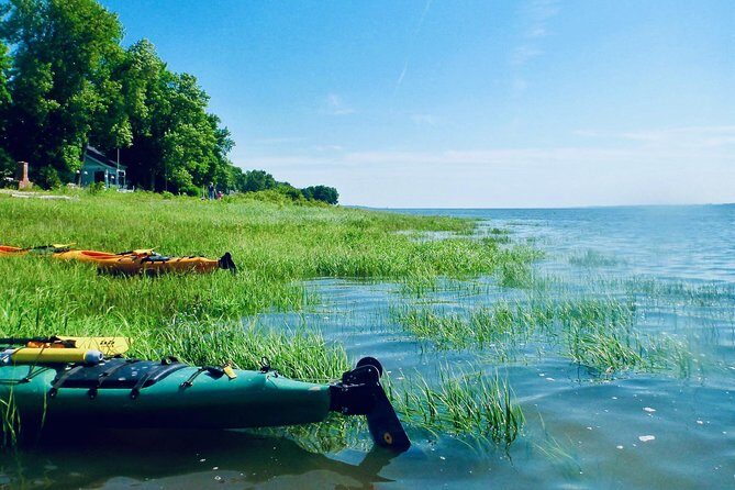 Half-Day Orleans Island Small-Group Sea Kayaking Tour - Final Thoughts