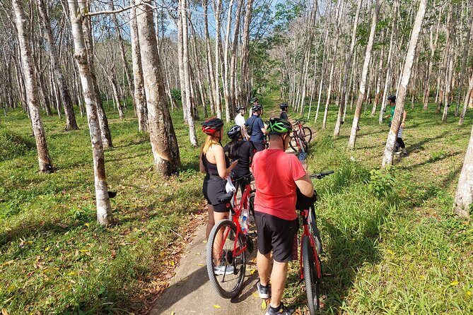 Half-Day Phuket's Hidden Trails Biking Adventure Small-Group Tour - Food and Rest