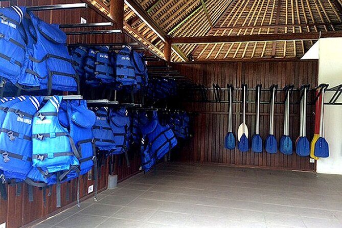 Half-Day Private Ayung Rafting Adventure in Ubud River - Analyzing the Value