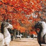 Half-Day Private Customized Nanjing City Tour - What’s the Value?