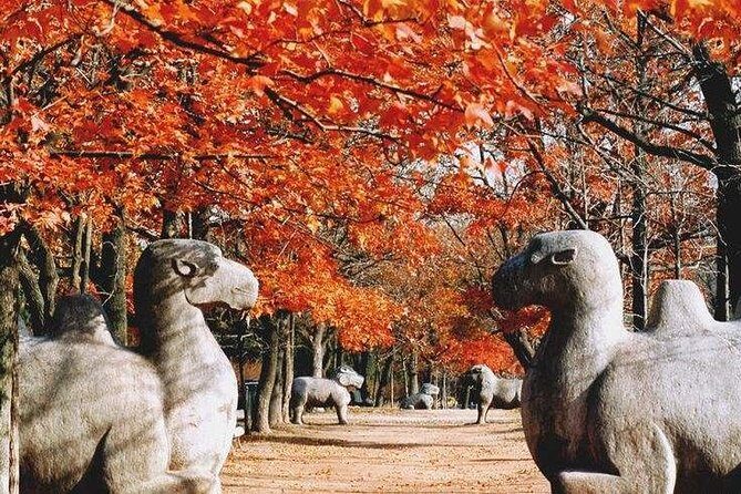 Half-Day Private Customized Nanjing City Tour - What’s the Value?