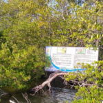 Half Day Private Exploration of the Beauty of Southern Coast - Practicalities and Value