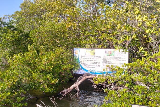 Half Day Private Exploration of the Beauty of Southern Coast - Practicalities and Value