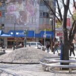 Half-Day Private Guided Tour to Kobe City - FAQ