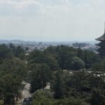 Half-Day Private Guided Tour to Nara City - Practical Aspects and Value