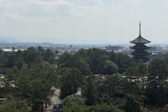 Half-Day Private Guided Tour to Nara City - Practical Aspects and Value