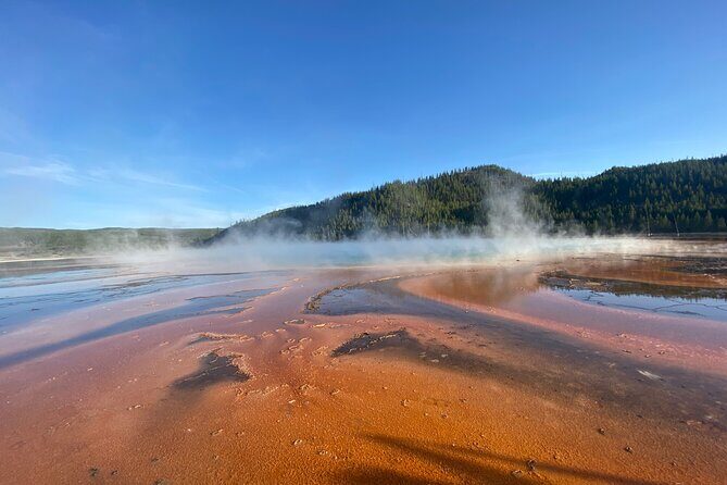 Half Day Private in Yellowstone Geyser Basin Tour - Frequently Asked Questions