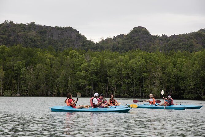 Half Day Private Kayaking Tour in Langkawi - What’s Unique About This Tour?
