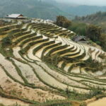 Half-Day Private Muong Hoa Valley Trek and Ethnic Tribes Tour - Practical Considerations