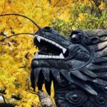 Half-Day Private Shanghai Tour by English Driver Guide including Bund, Xintiandi - What To Expect from This Tour