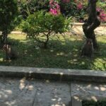 HALF DAY PRivate Tour Marble Mountain and Linh Ung Pagoda from DA NANG - The Itinerary in Detail