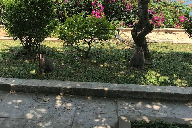 HALF DAY PRivate Tour Marble Mountain and Linh Ung Pagoda from DA NANG - The Itinerary in Detail