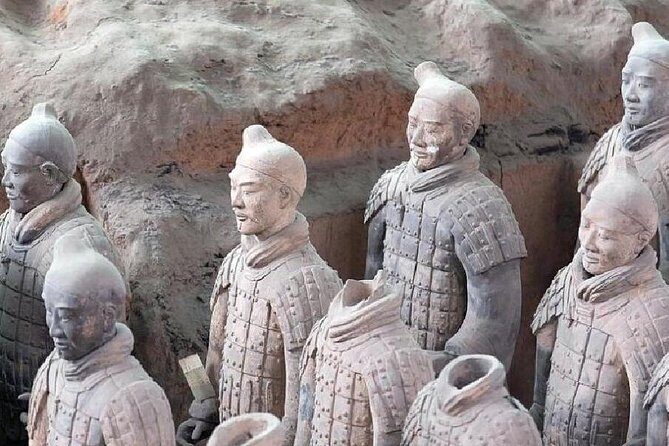 Half-Day Private Tour of Xi'an Terracotta Warriors and Horses Museum - Transportation and Comfort