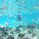 Half Day Private Tour to Islamorada Alligator Reef and Sandbar - The Boat & Guide: Comfort & Knowledge