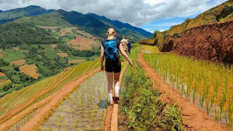 Half Day Private Trekking Mu Cang Chai_Morning or Afternoon - Top Highlights of the Tour