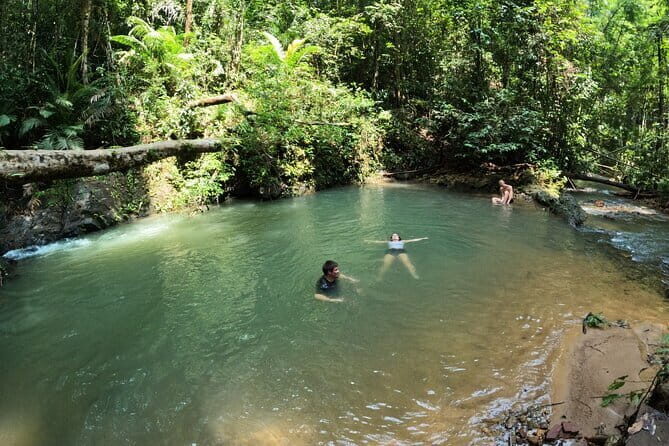 Half Day Rainforest and Waterfall Tour in Thailand - Why This Tour Works for Different Travelers