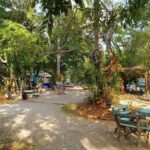 Half-Day Sea Kayaking Adventure in Ao Thalane Bay from Krabi - The Lunch Option and Additional Comforts