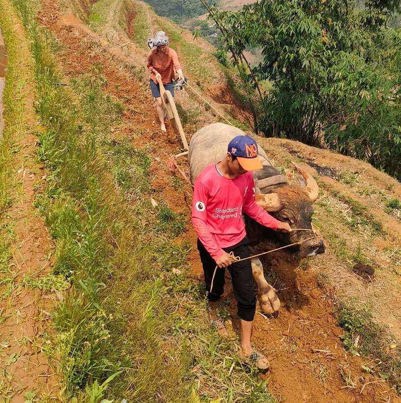 Half day Seasonal Job Experience private tour Mu Cang Chai - What Travelers Say