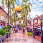 Half Day Singapore Exploration from Cruise Port - Final Thoughts: Is It Worth It?