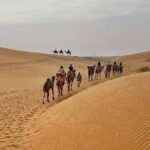 Half Day Sunset Camel Safari Jaisalmer - Who Should Consider This Tour?