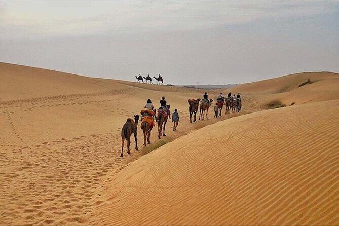 Half Day Sunset Camel Safari Jaisalmer - Who Should Consider This Tour?