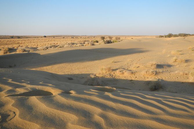 Half Day SunSet Tour with Dinner - Authenticity and Safety