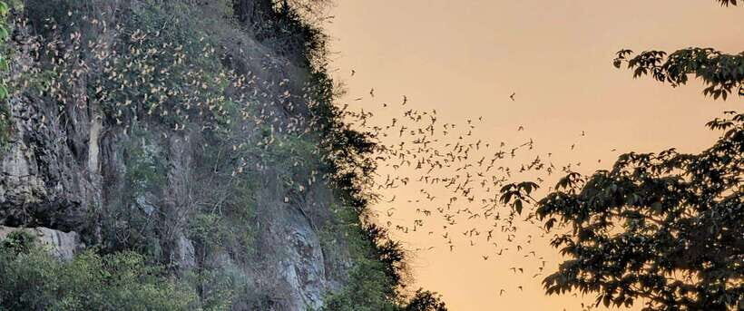 Half-day swing bridge, bamboo train, batcave & Killing cave - The Practicalities: Whats Included & Whats Not