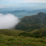 Half day Top Valley trek in Munnar - Final Thoughts: Is This Tour Worth It?