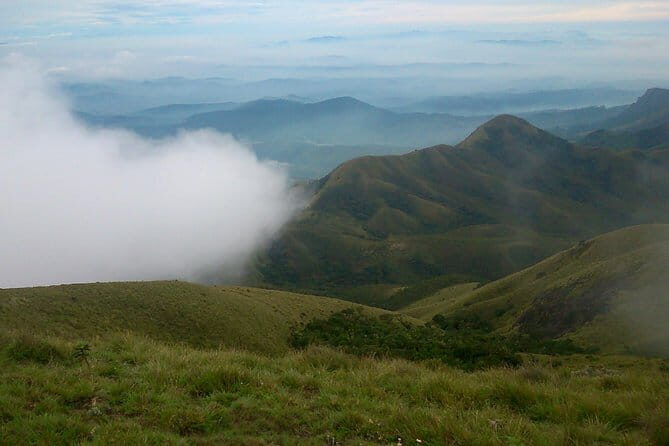 Half day Top Valley trek in Munnar - Final Thoughts: Is This Tour Worth It?