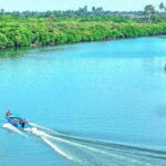 Half Day Tour to Muthurajawela, Lagoon, Dutch Canal and Mangroves - Detailed Breakdown of the Itinerary