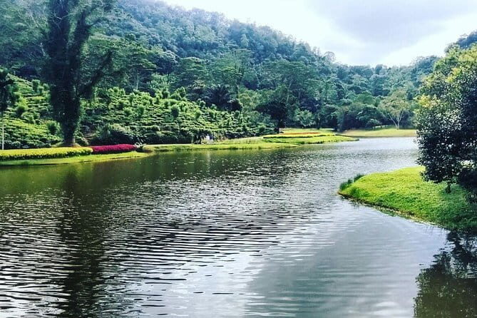 Half-Day Tour To Seethawaka Botanical Garden From Colombo - A Closer Look at the Itinerary