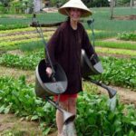 Half -Day Tra Que Herbal Village Tour from Hoi An - Transportation, Group Size, and Price