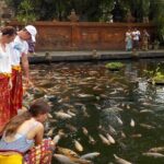 Half-Day Ubud Electric Cycling Tour to Tirta Empul Water Temple - The Balance of Value and Experience