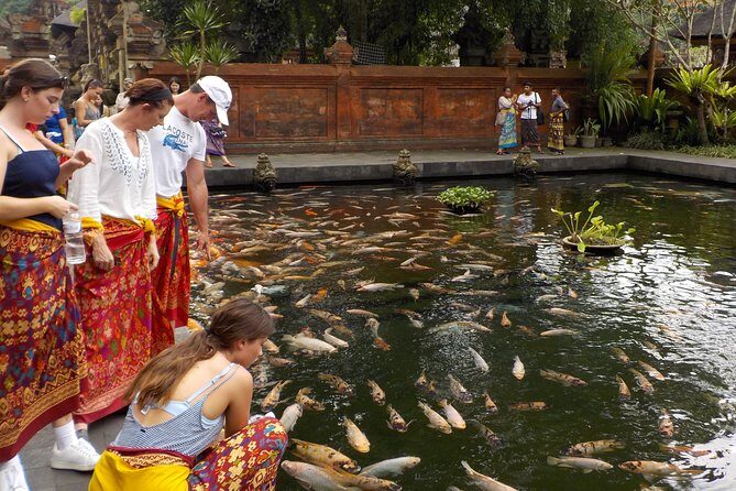 Half-Day Ubud Electric Cycling Tour to Tirta Empul Water Temple - The Balance of Value and Experience