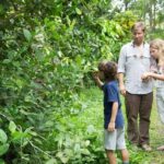 Half Day Village Backwater Eco Country Boat Cruise :Group Tour from Fort Cochin - The Experience: What Travelers Rave About